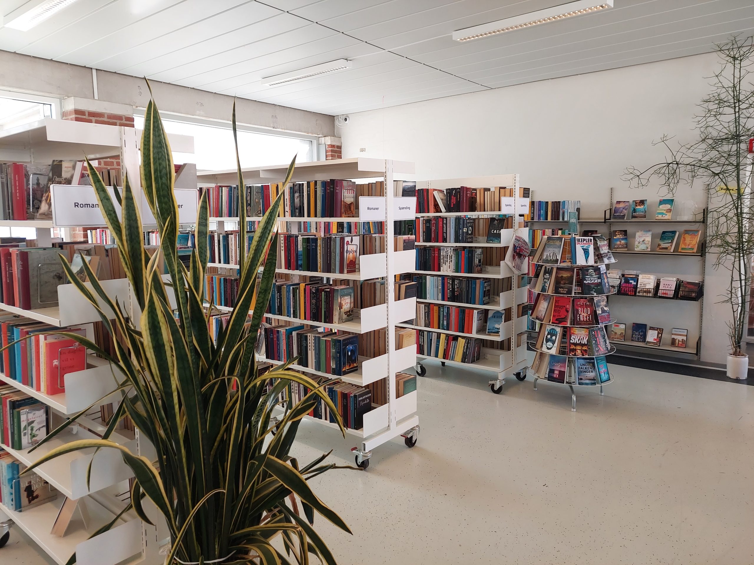 Da Kerteminde fik et offentligt bibliotek | Kjerteminde Avis